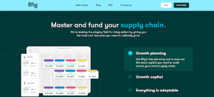 8fig Review: Convenient and Flexible Ecommerce Funding
