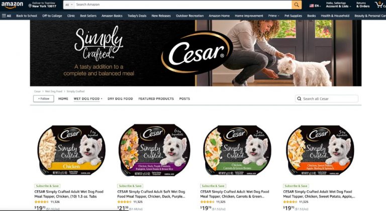 A Step-by-Step Guide for Building Your Brand on Amazon