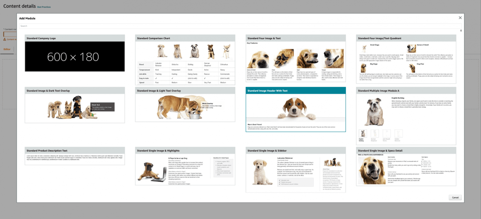 Everything You Need to Know About Amazon A+ Content 💡