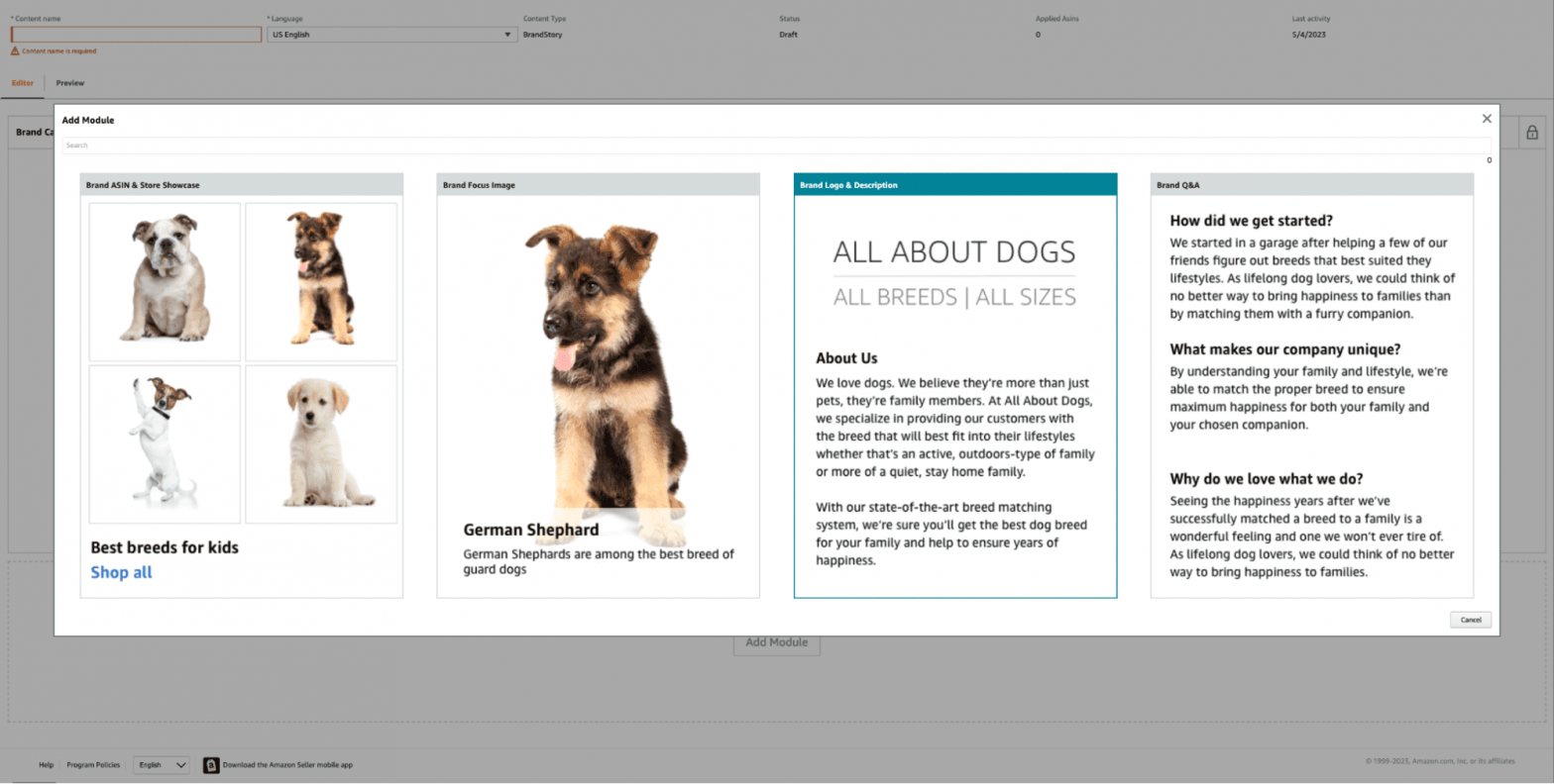 Everything You Need to Know About Amazon A+ Content 💡