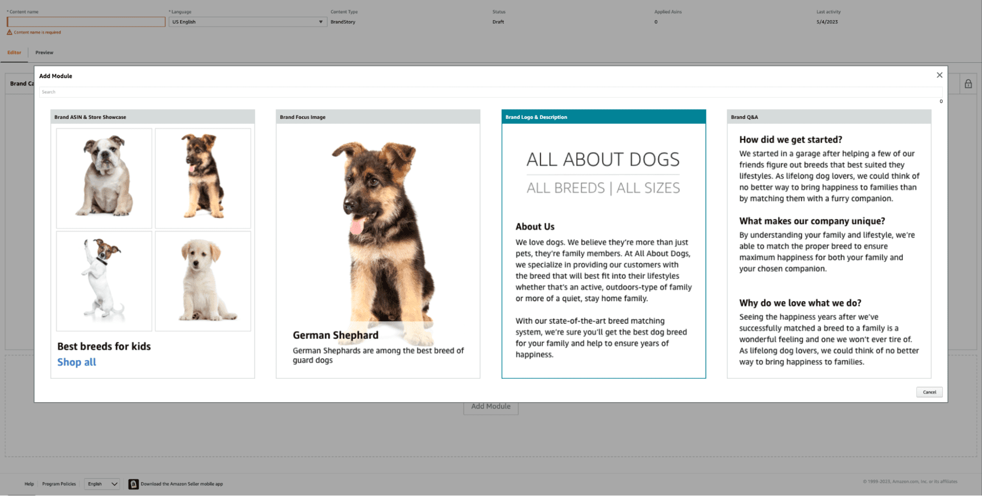 Everything You Need to Know About Amazon A+ Content 💡