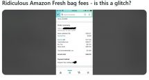 Amazon Price Glitch and Everything Sellers Need to Know About It