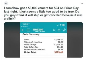 Amazon Price Glitch and Everything Sellers Need to Know About It