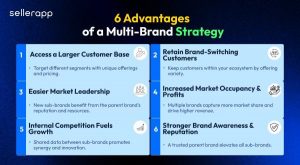 Multi Brand Strategy Explained: Drive Diversity and Scalable Growth